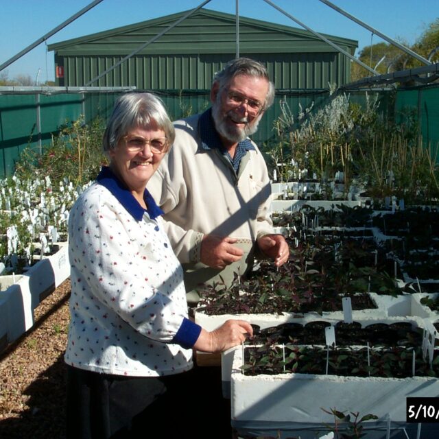 40th Anniversary - Friends of the Australian Arid Lands Botanic Garden